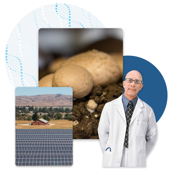 Mushroom Growing Products | Amycel and Spawn Mate